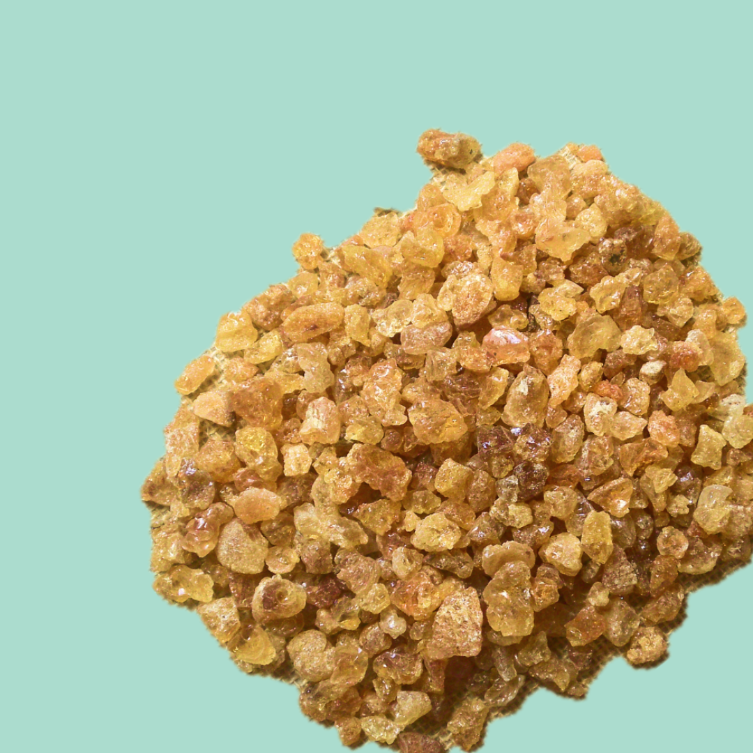 Acacia Fiber: Benefits, Uses, Nutrition & More – OLIPOP