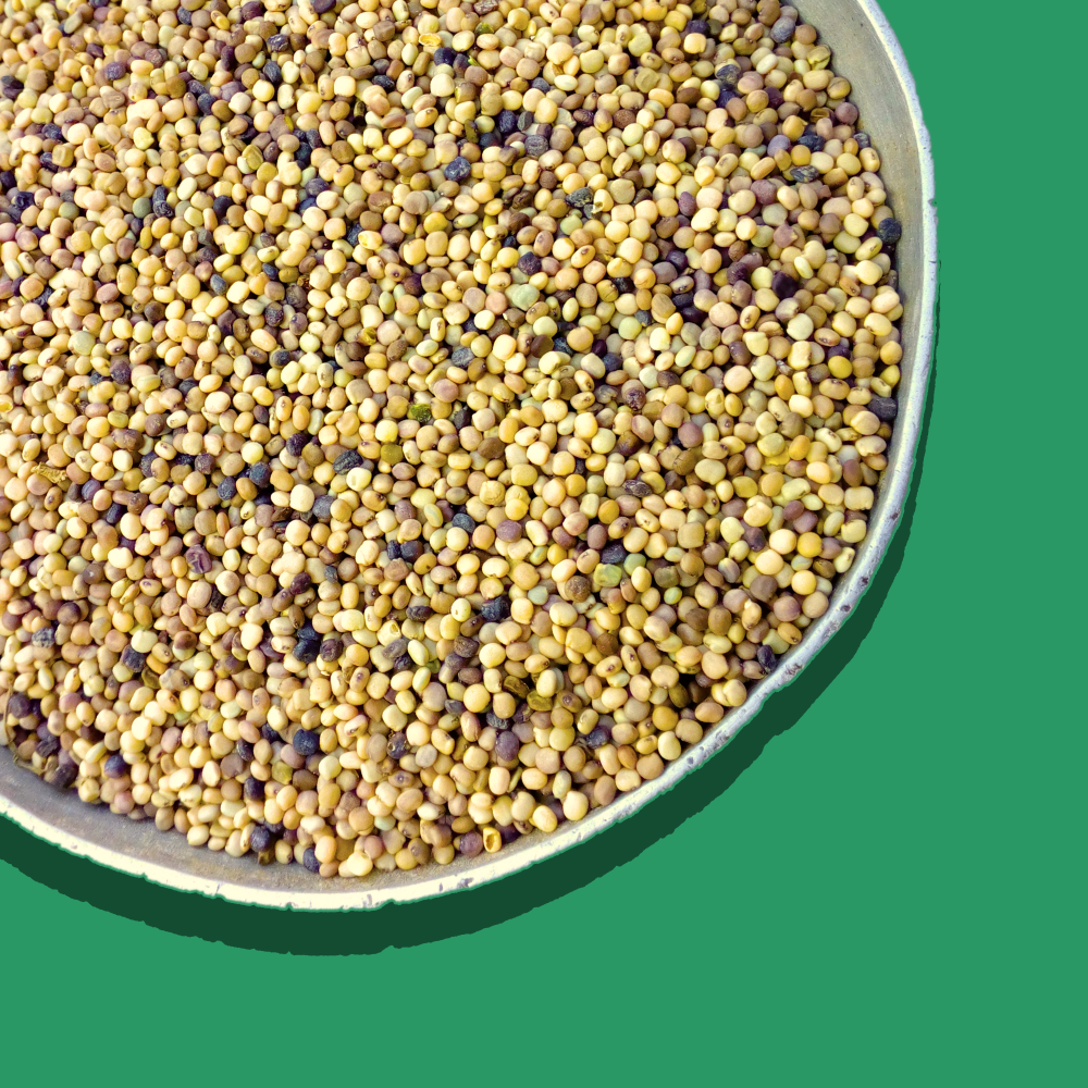 Guar Fiber: Benefits, Uses, Nutrition & More – OLIPOP